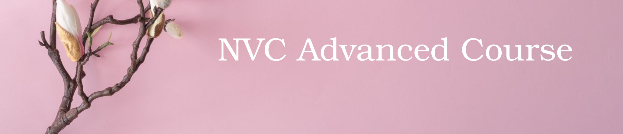 NVC Advanced Course – Members cup of empathy