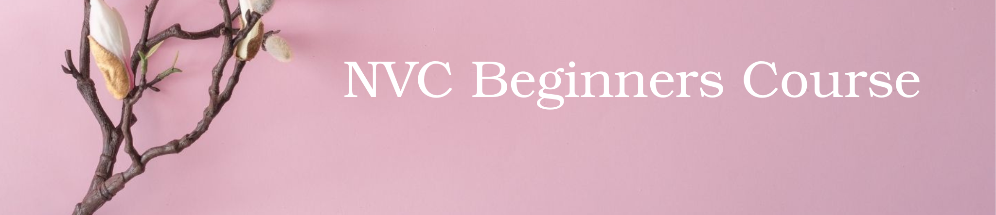 NVC Beginners Course – Members cup of empathy